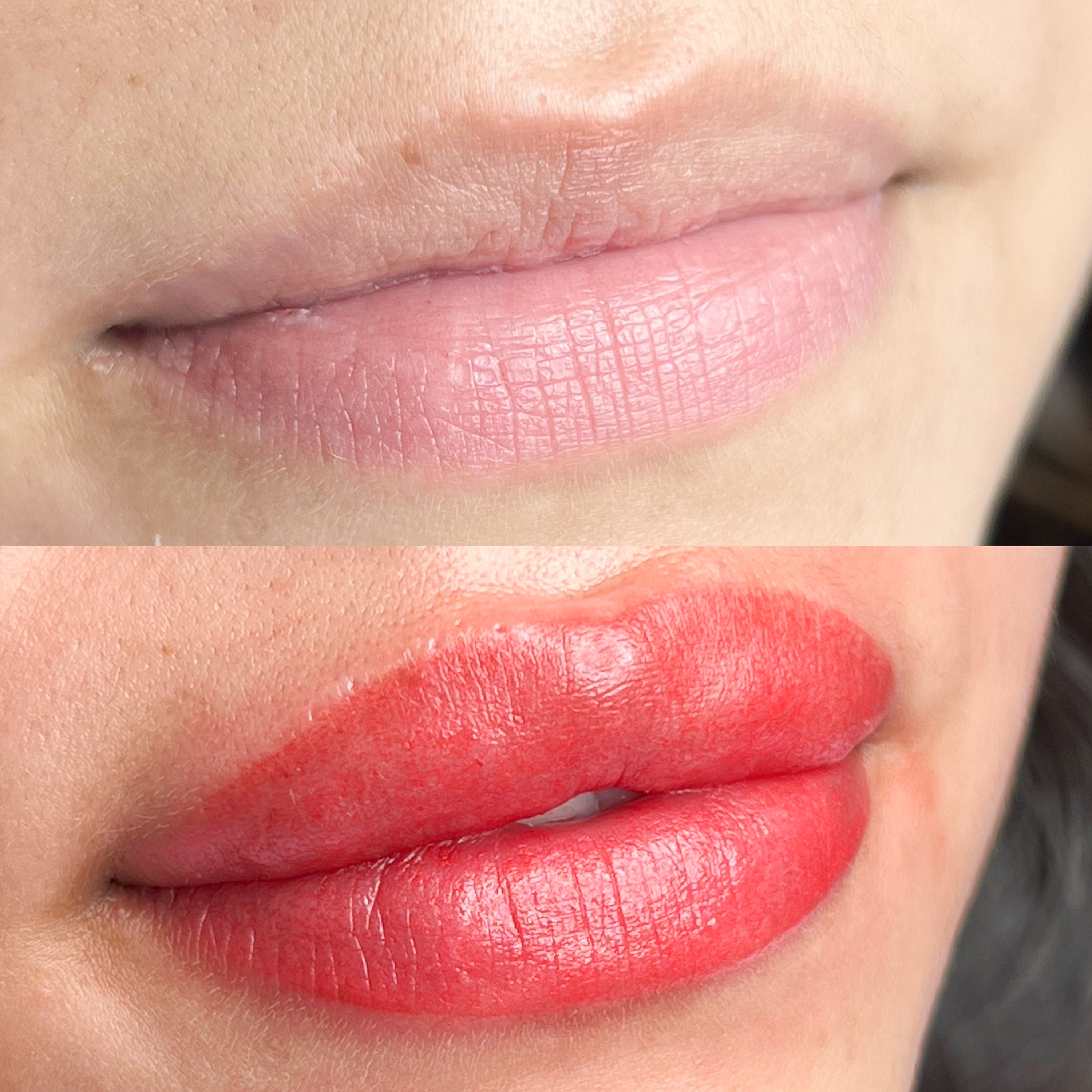 Blush Lips – Gabi Brows